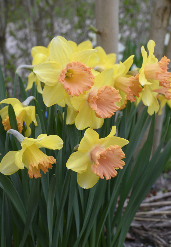 Color Run 14/16 - Sam van Schooten